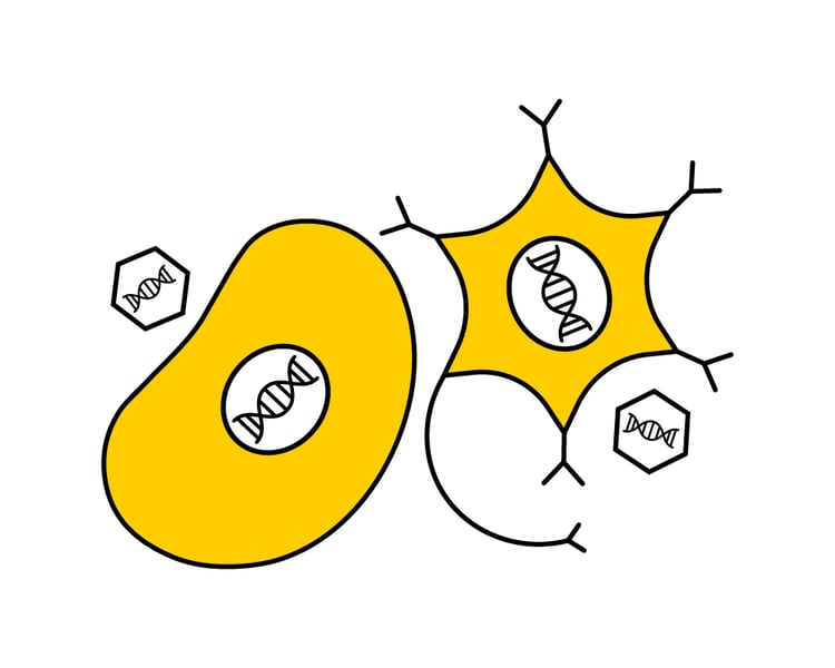 Ready-2-Go (R2G) Assay Services - PhenoVista Biosciences