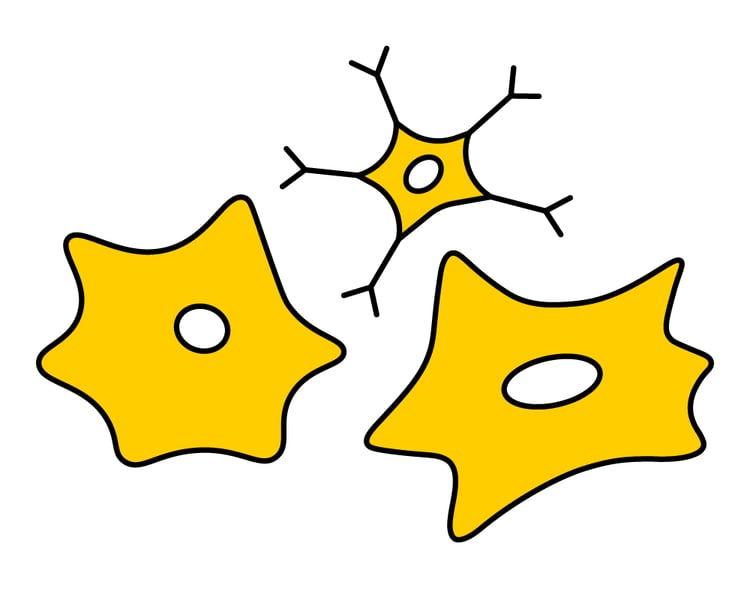 Ready-2-Go (R2G) Assay Services - PhenoVista Biosciences