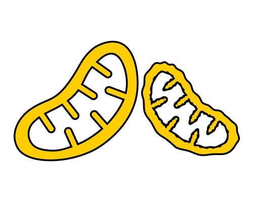 Ready-2-Go (R2G) Assay Services - PhenoVista Biosciences