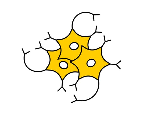 Ready-2-Go (R2G) Assay Services - PhenoVista Biosciences