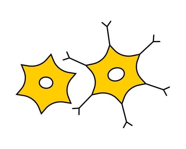 Ready-2-Go (R2G) Assay Services - PhenoVista Biosciences
