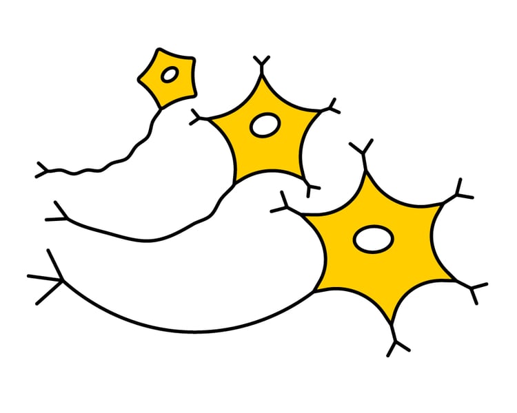 Ready-2-Go (R2G) Assay Services - PhenoVista Biosciences