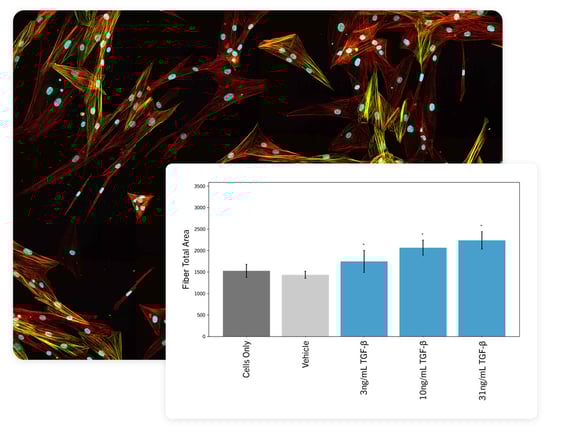 R2G Lung Fibrosis Assay Services
