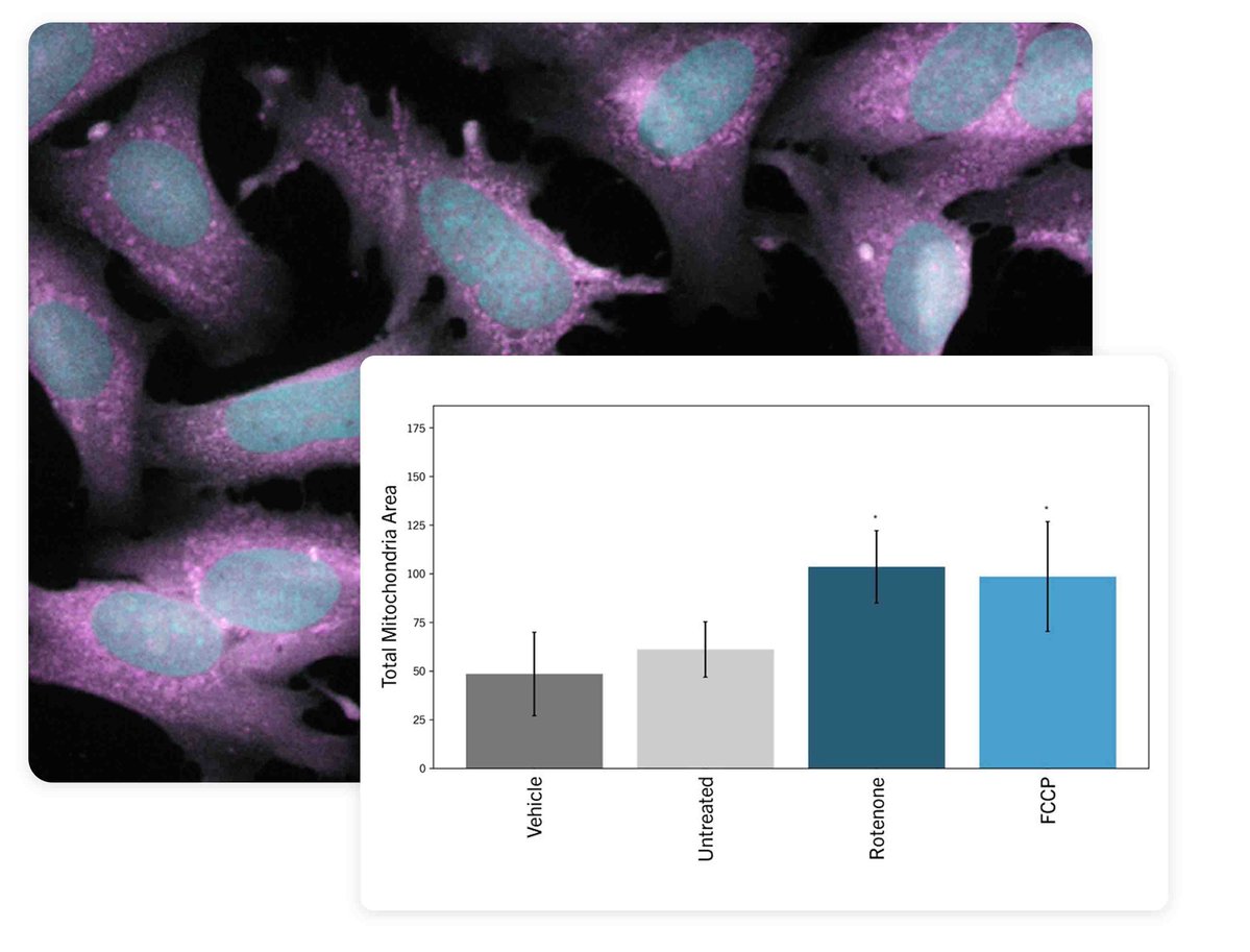 R2G Mitochondrial Health Assay Services