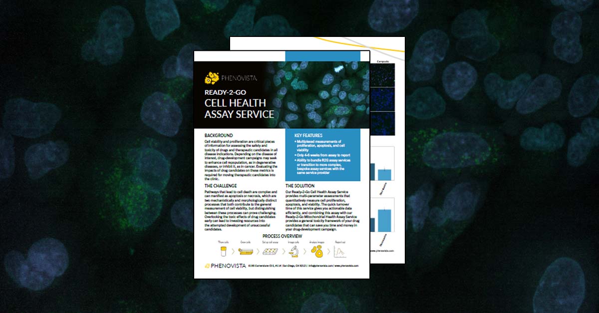 Evaluation of Cell Health & Proliferation in a Gut Organoid Model Case ...