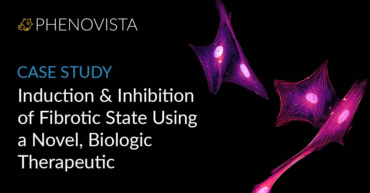 In Vitro Fibrosis Assay Services - PhenoVista Biosciences