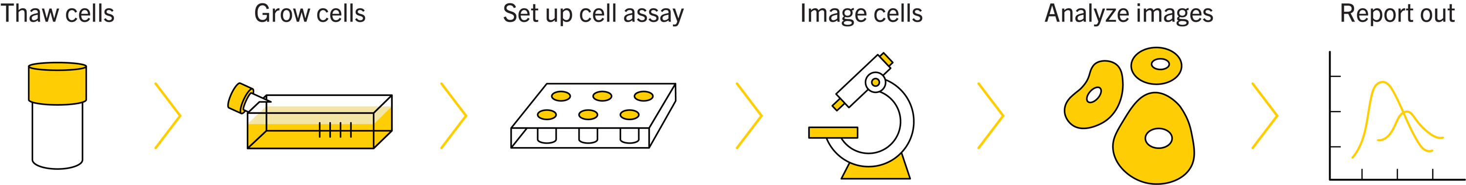 R2G Lung Fibrosis Assay Services