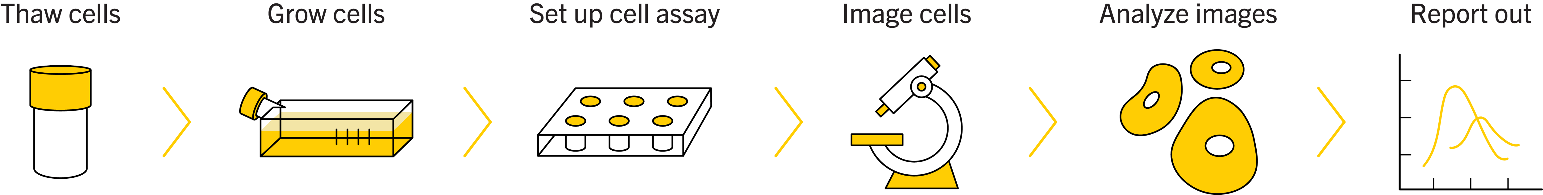 R2G Lung Fibrosis Assay Services